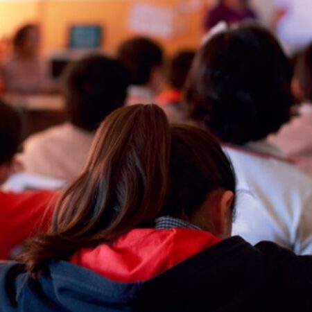 Puntajes Simce: dónde revisar los resultados de cada colegio