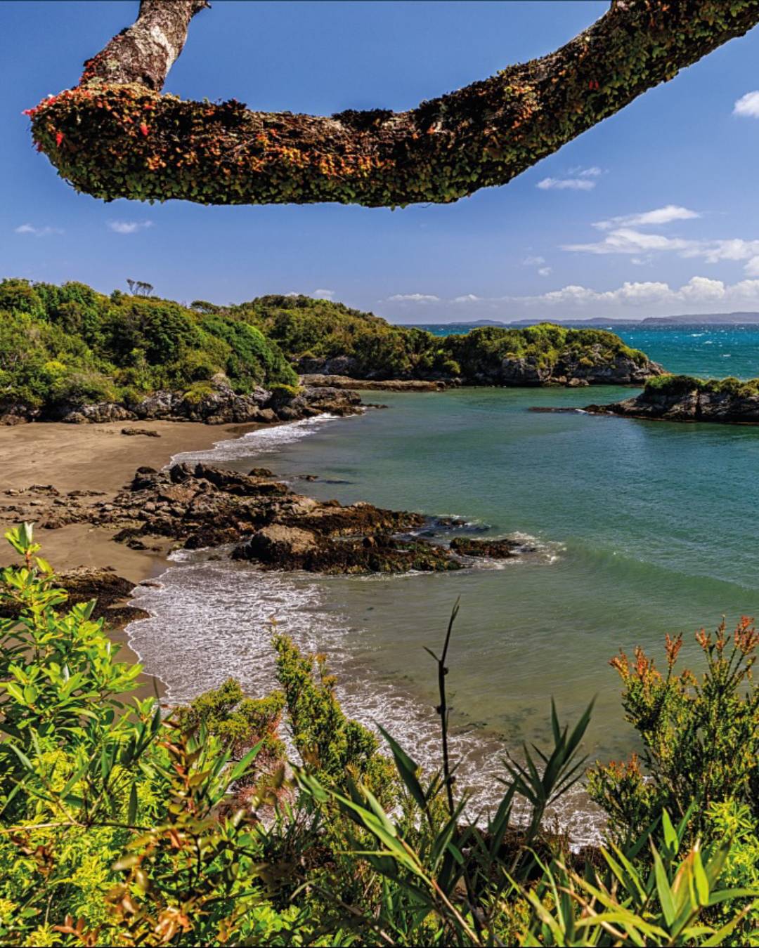 Será parque nacional: Leonardo DiCaprio confirma que donará la Isla ...