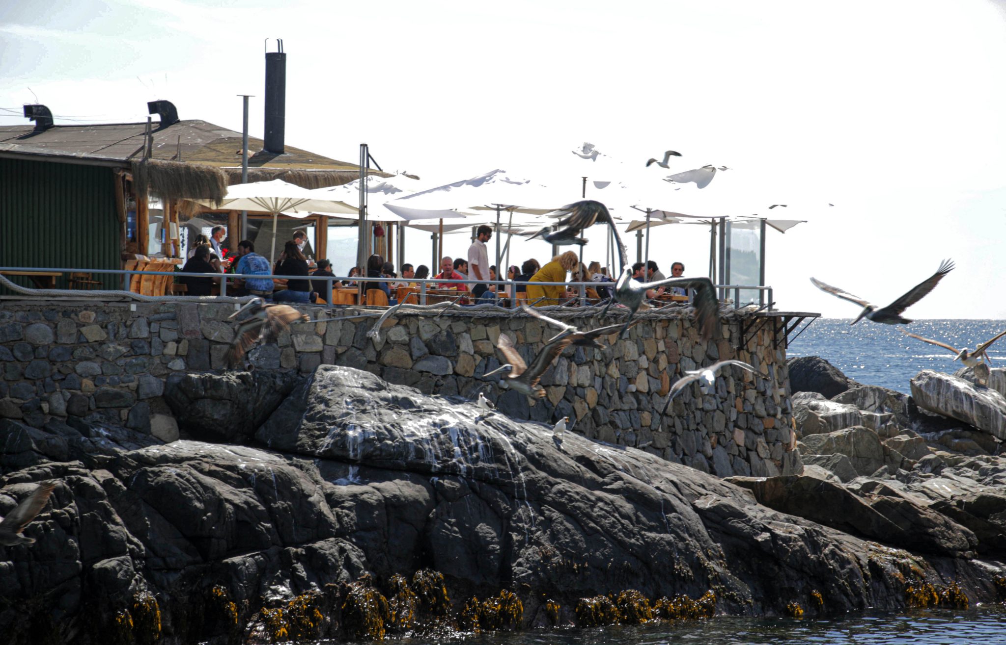 Supermercado en Zapallar: polémica en balneario VIP entra en fase clave ...